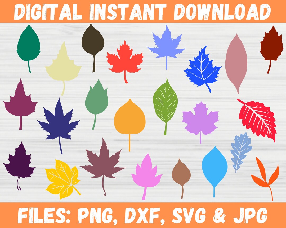 Fall Leaves SVG Bundle | Autumn Leaf Designs for Crafting (digital ...