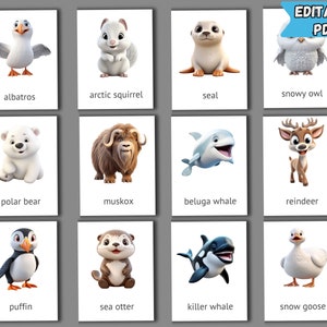 Cartoon Arctic Animals Flash Cards, Printable Card Template Mockup, 3 ...
