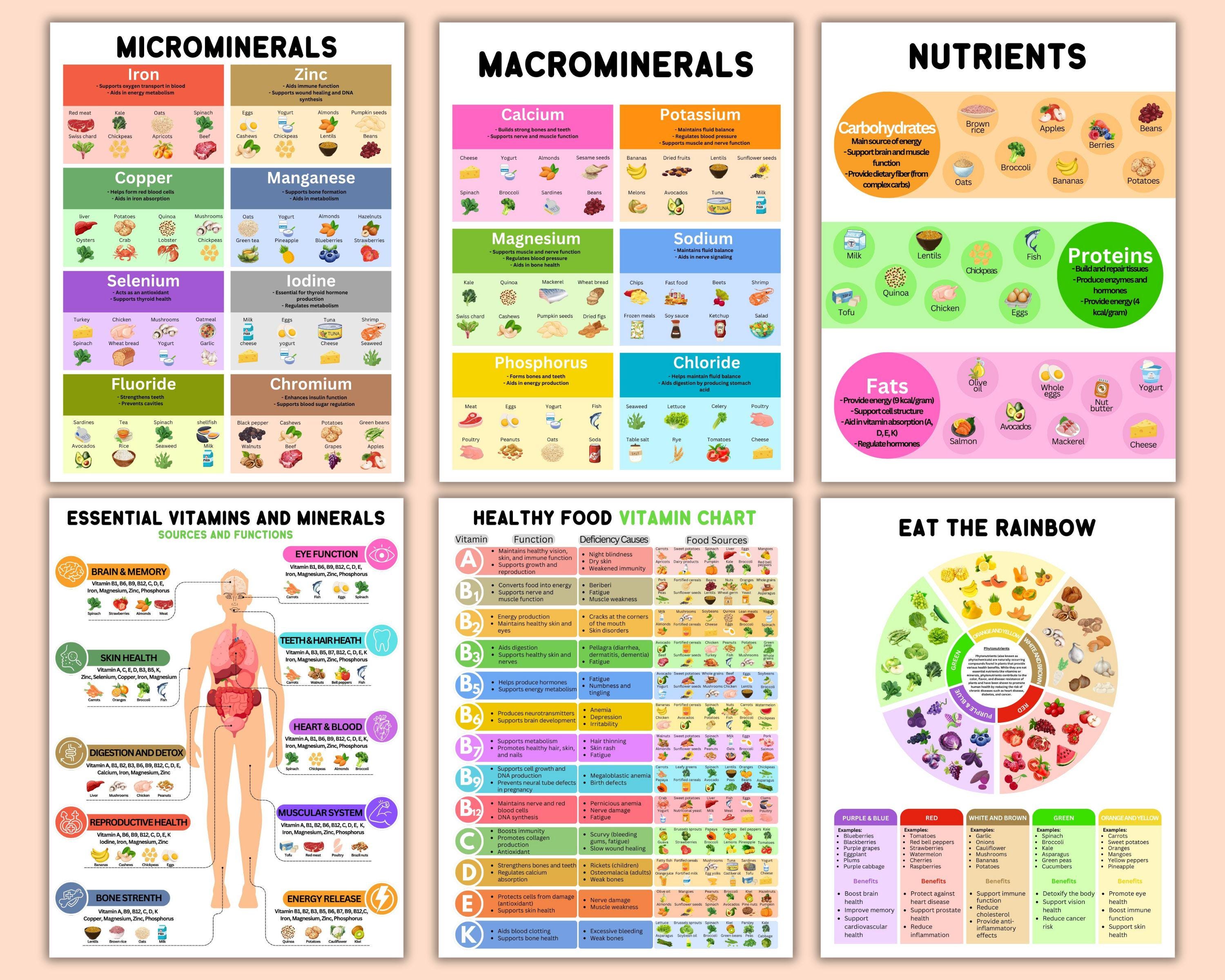 Vitamins and Mineral Chart Sheet, Nutrition Facts Food List, Essential ...