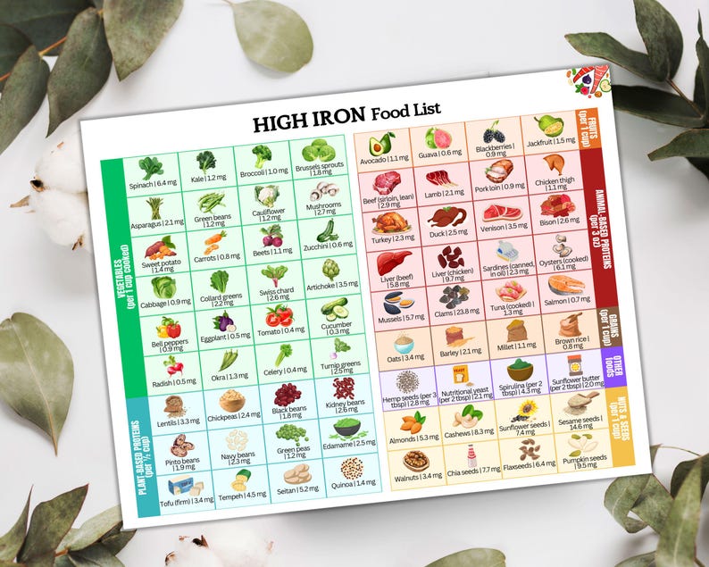 Iron Rich Food List Printable, High Iron Foods for Anemia, Iron ...
