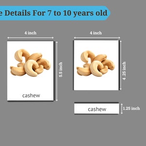 NUTS Flash Cards for Kids | Educational Flash Cards, Editable ...