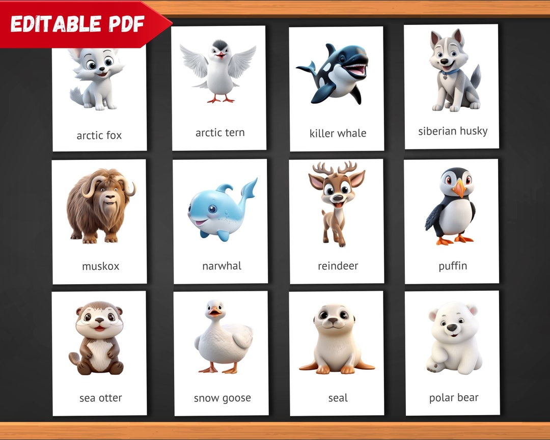 Cartoon Arctic Animals Flash Cards, Printable Card Template Mockup, 3 ...