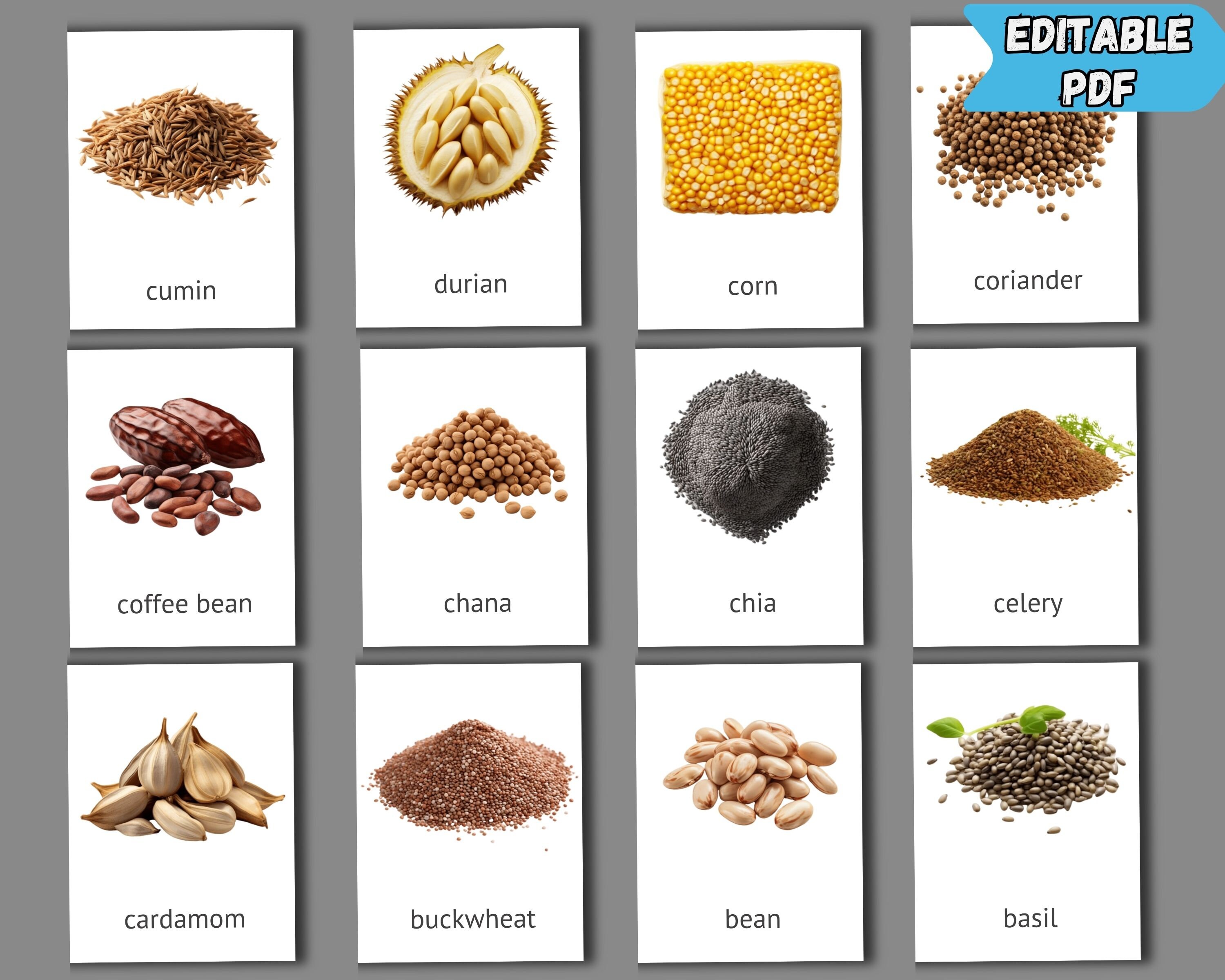 Realistic Seeds Flash Cards, Montessori Printable Card Home Schooling ...