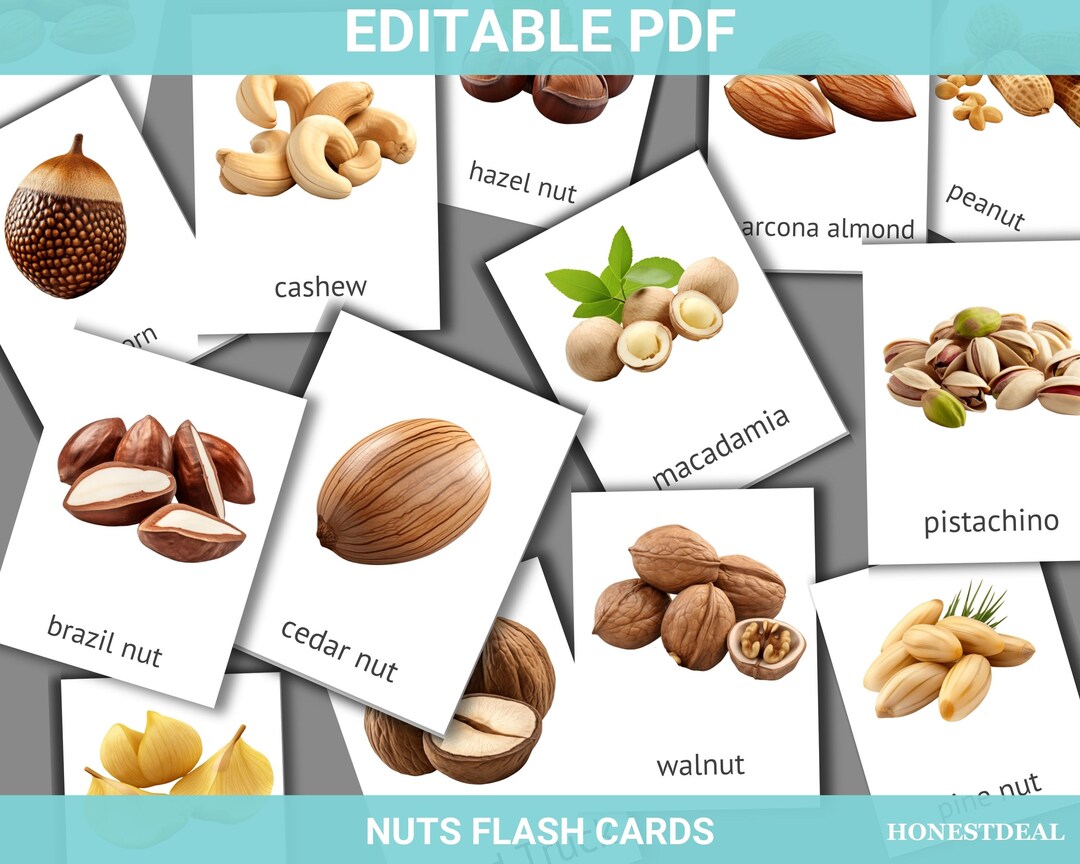 NUTS Flash Cards for Kids | Educational Flash Cards, Editable ...