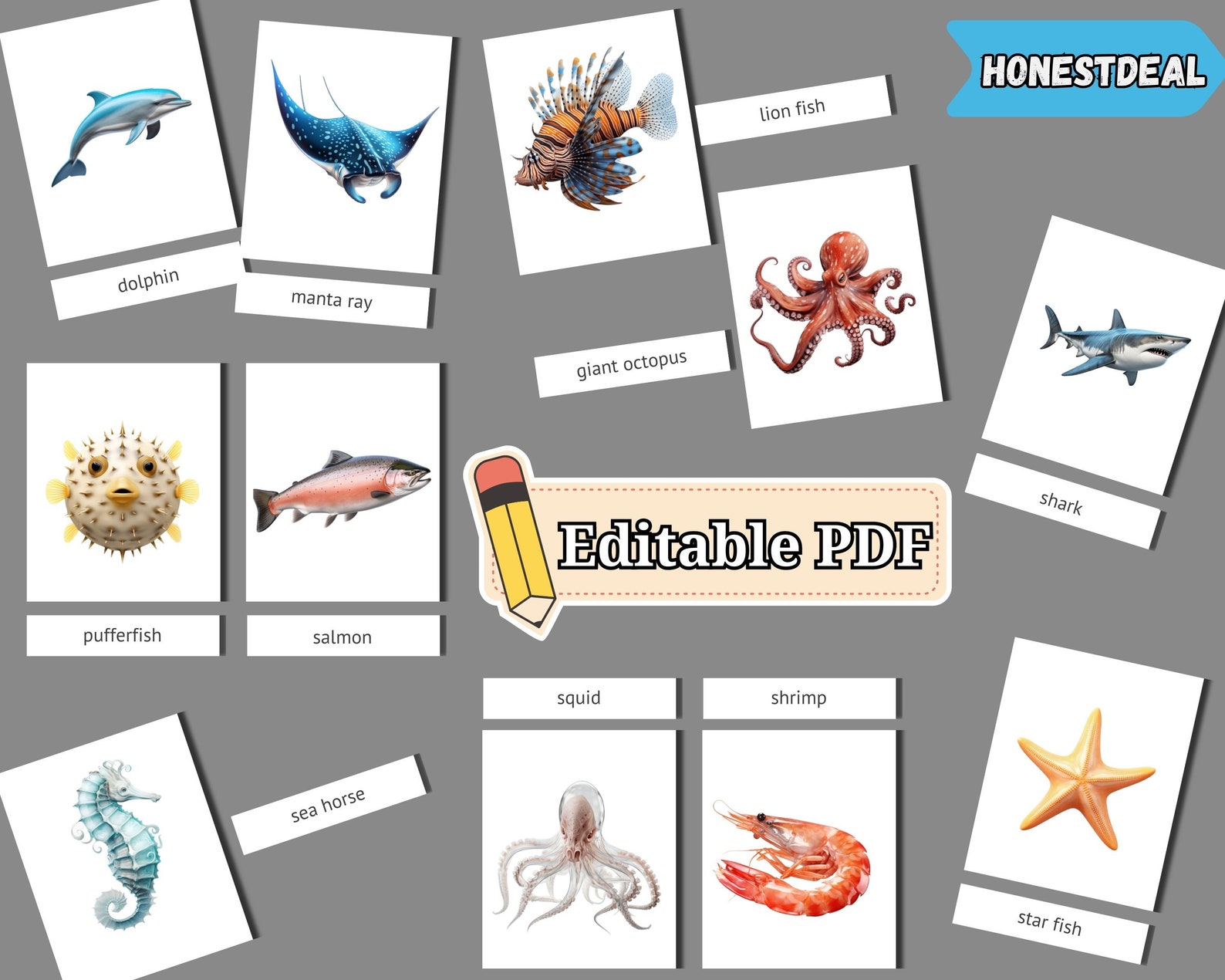 Fun Sea Animal Flashcard Printable PDF, Kids Ocean Learning Cards for ...