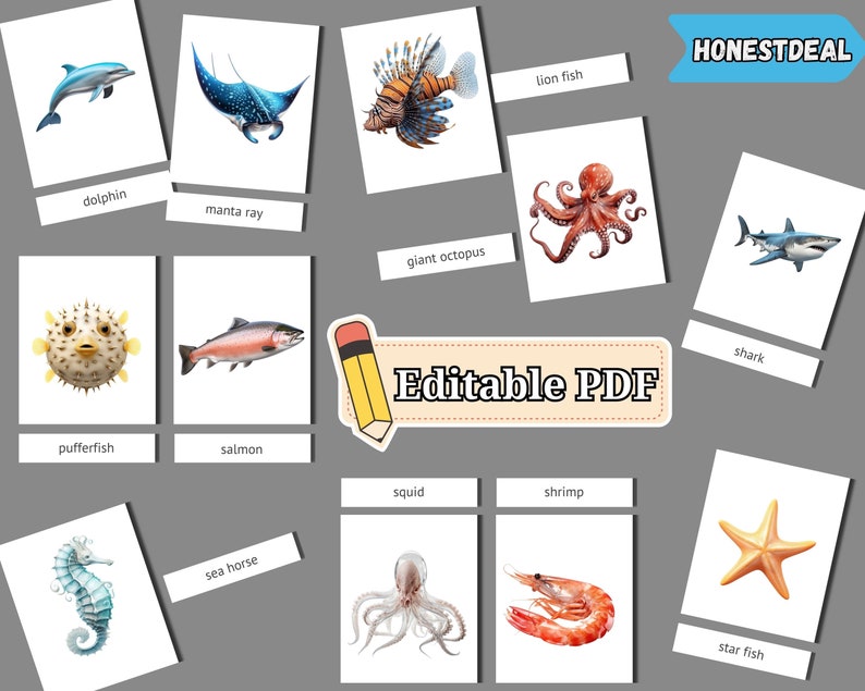 Fun Sea Animal Flashcard Printable PDF, Kids Ocean Learning Cards for ...