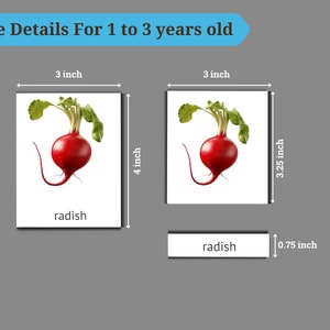 Veggie Flashcards | Editable PDF Kid Flashcards | Vegetable Flashcards ...