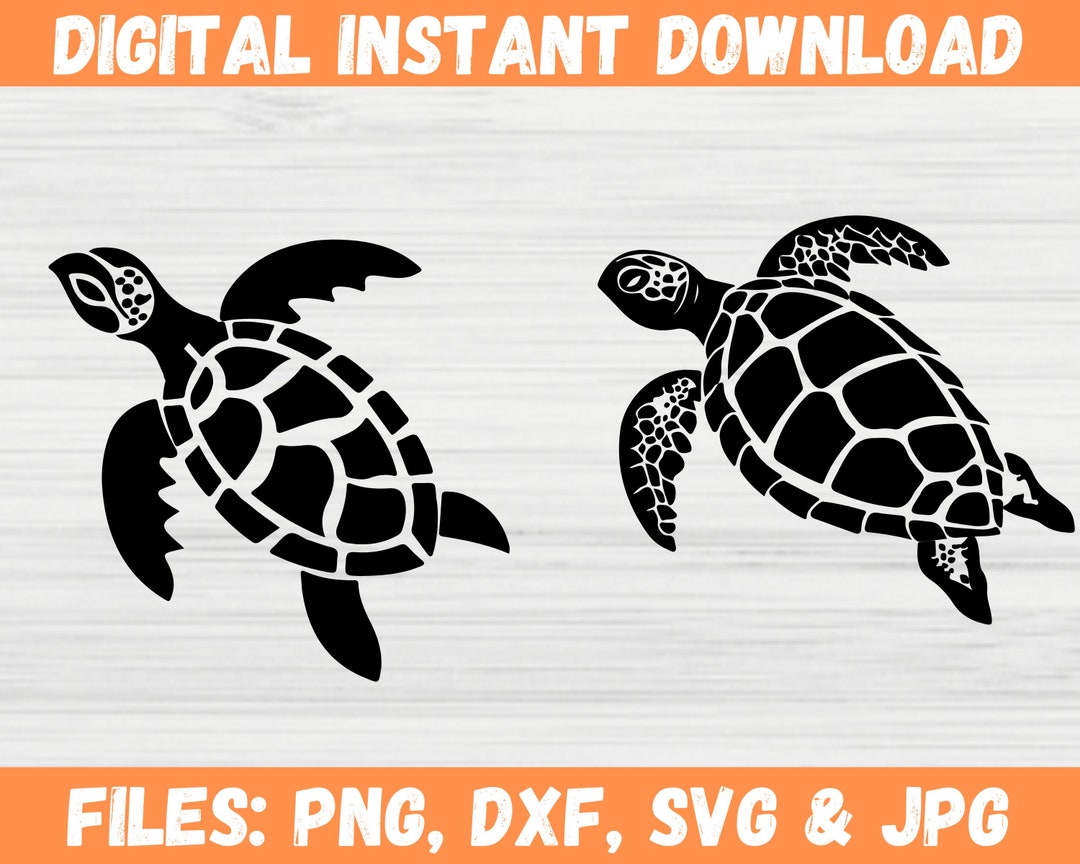 Sea Turtle SVG Bundle, Sea Turtle Cut File, Floral Turtle Svg, Tortoise ...