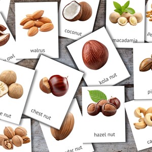 NUTS Flash Cards for Kids | Educational Flash Cards, Editable ...
