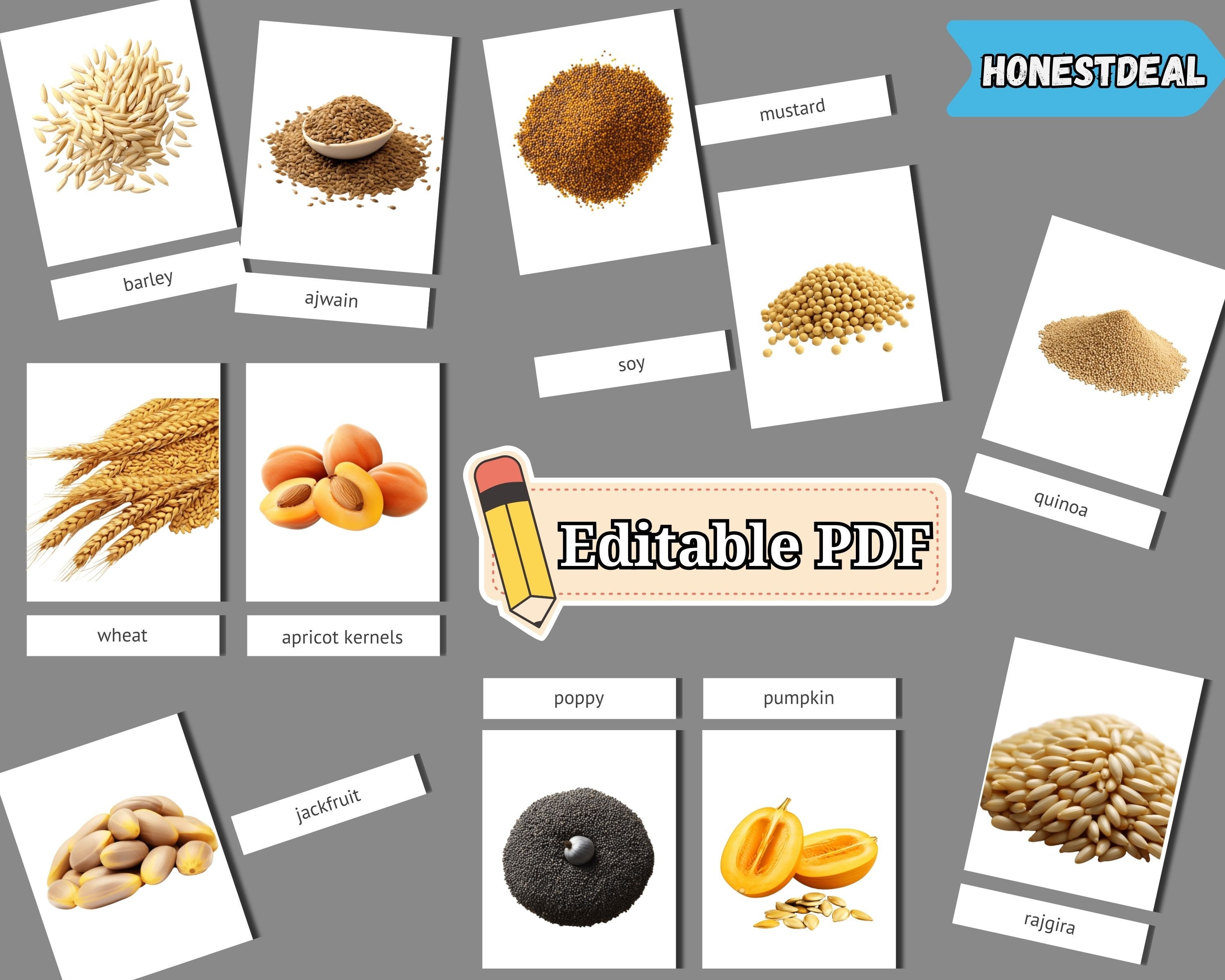 Realistic Seeds Flash Cards, Montessori Printable Card Home Schooling ...
