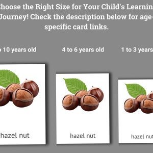 NUTS Flash Cards for Kids | Educational Flash Cards, Editable ...