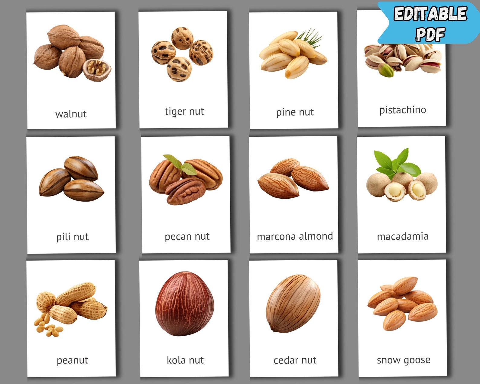 Nuts Flashcards PDF Printable Card Editable Montessori - Etsy
