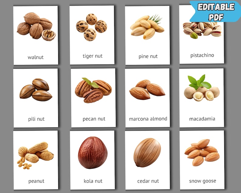 Nuts Flashcards PDF Printable Card Editable Montessori - Etsy