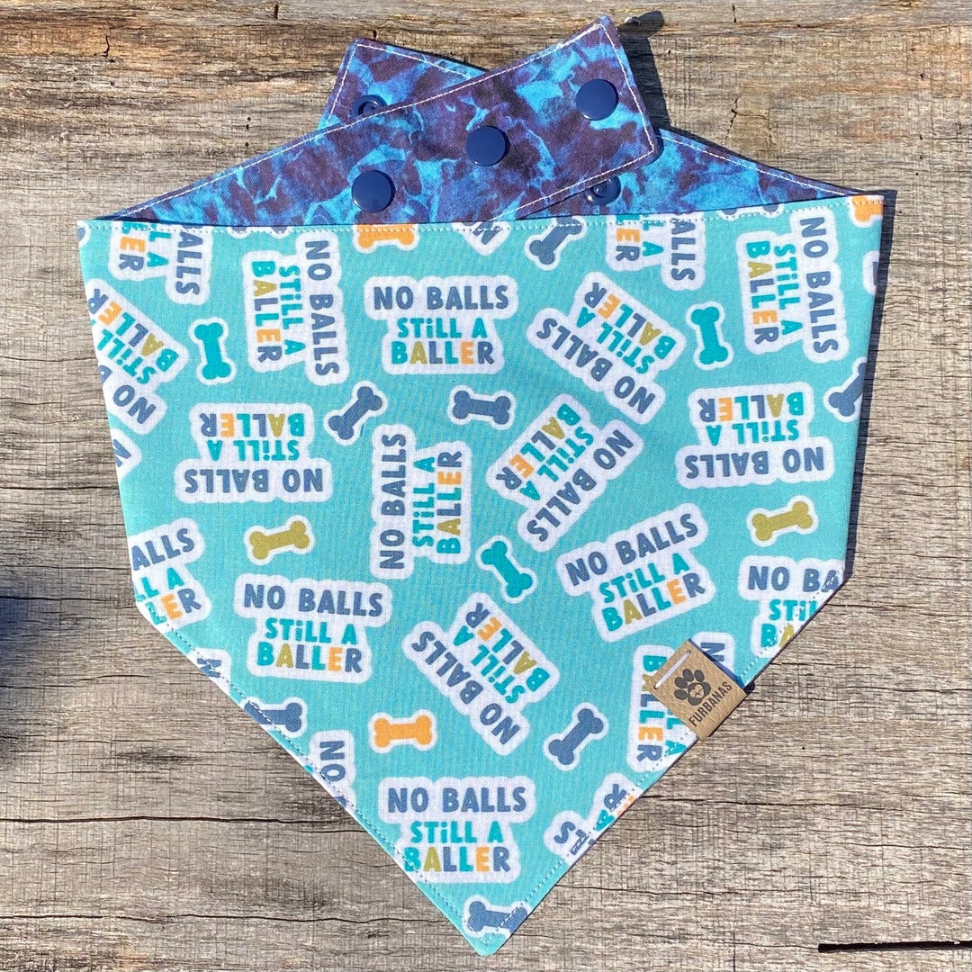 No Balls, Still a Baller Snap Style Reversible Bandana, Funny ...