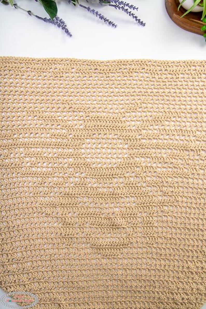 PDF Bee Filet Crochet Shawl PATTERN | Advanced Beginner Crochet Wrap ...