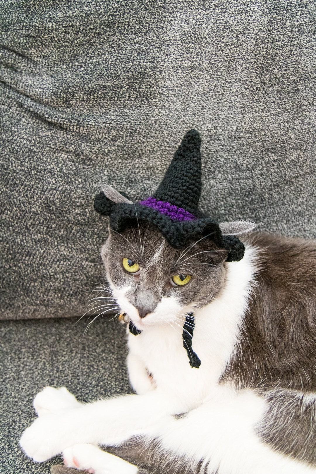 Crochet Pattern: CAT WITCH HAT for Halloween to Dress up Your Kitty ...
