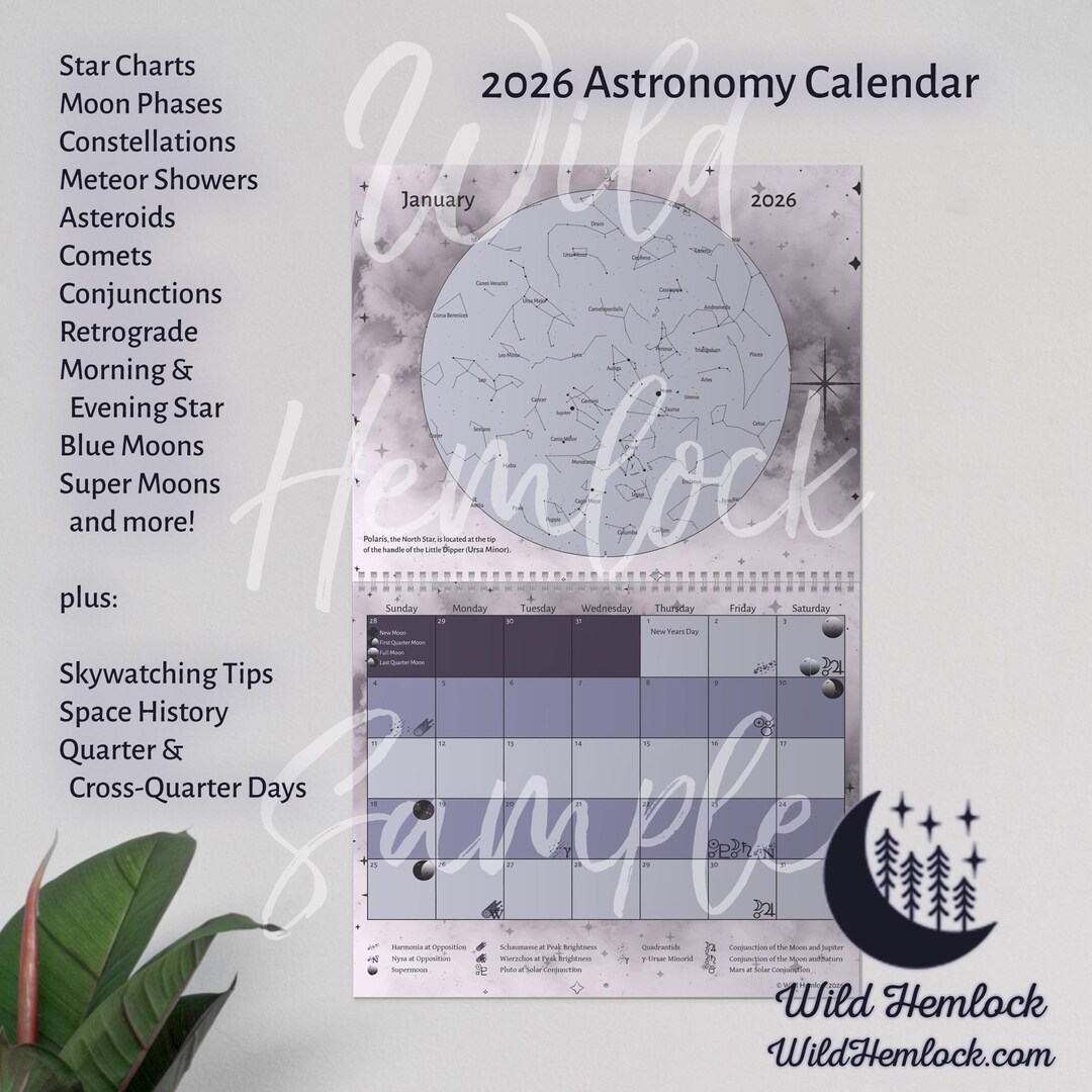 2026 Moon Calendar Pastel Goth Whimsigoth Zodiac Witchy Astronomy ...
