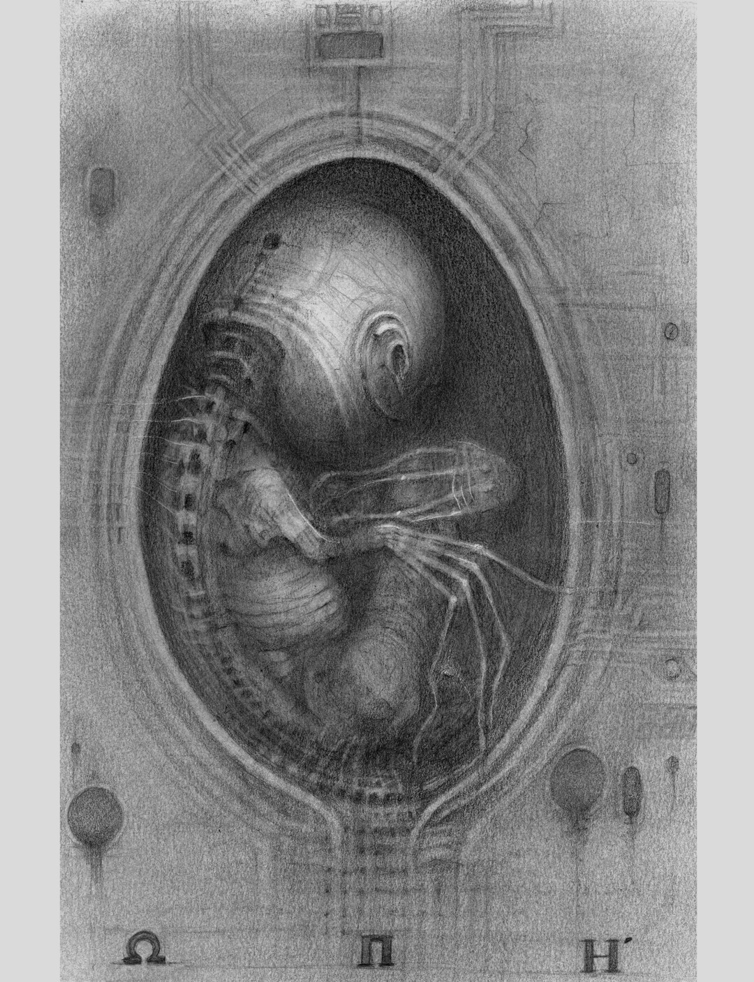 Natum Angelus "print" - Etsy