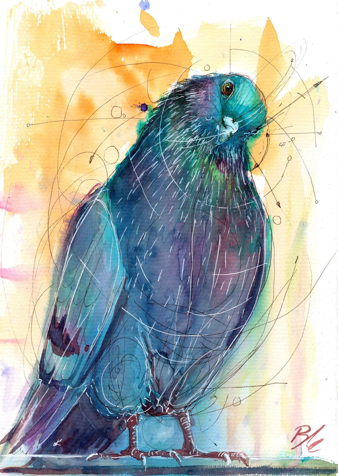 Curious Pigeon - Etsy