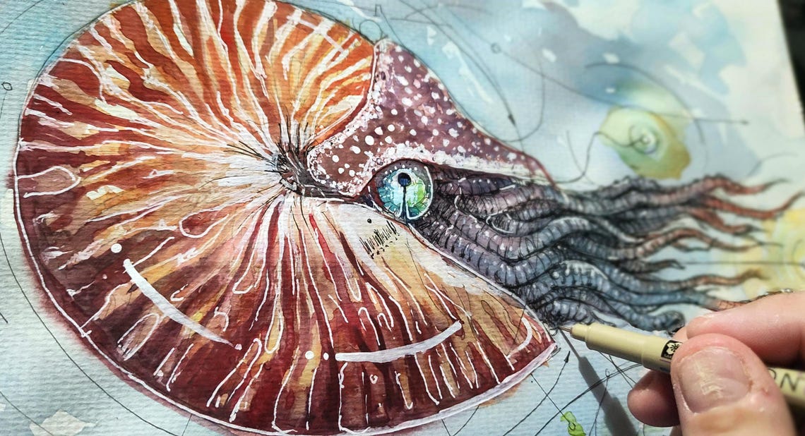 Nautilus - Etsy