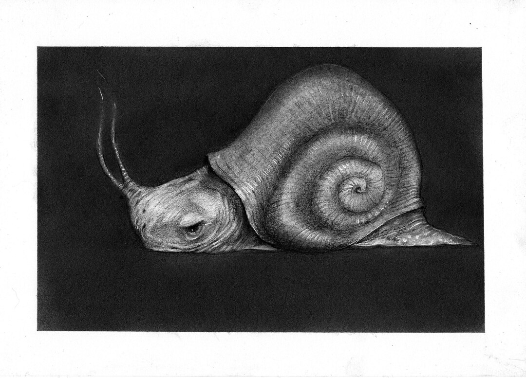 HELIX "print" - Etsy