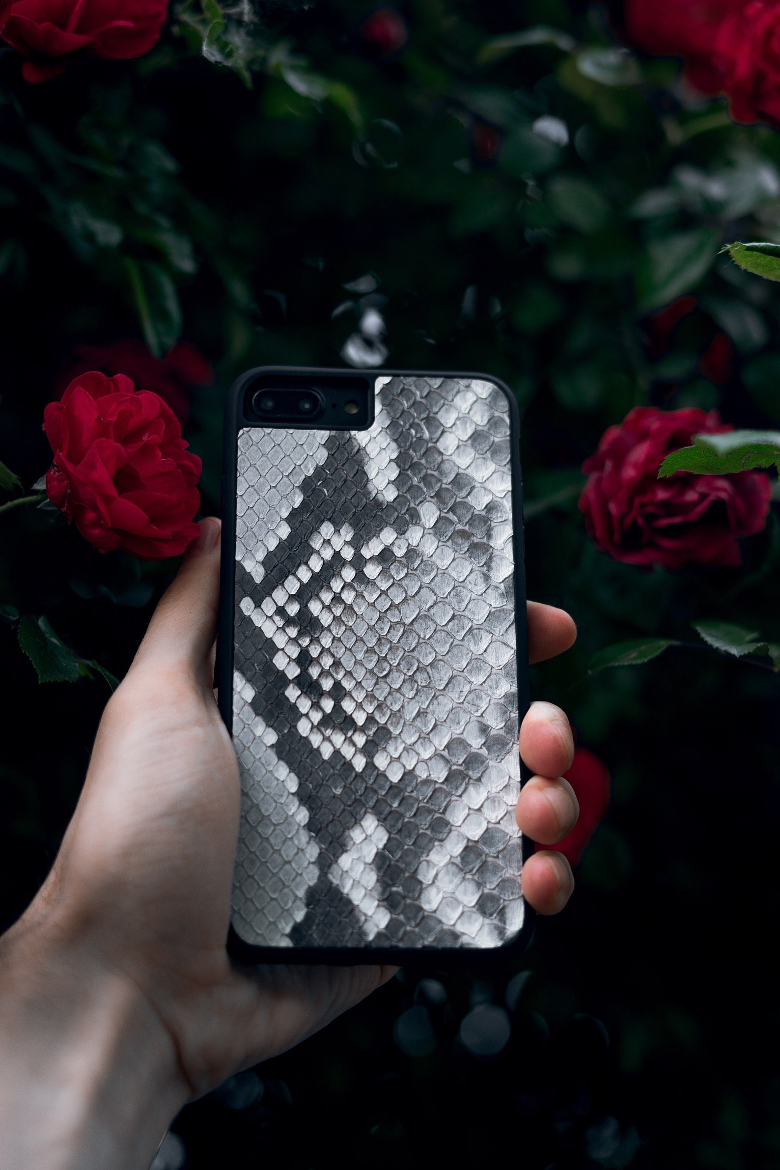 Genuine python leather iPhone case beige python leather | Etsy