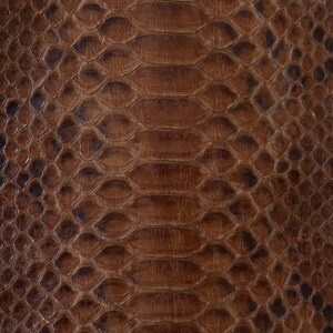 Brown Python Skin Set iPhone 13 Pro Max Apple Watch 6, Python Leather Set for iPhone 13 Pro and ...