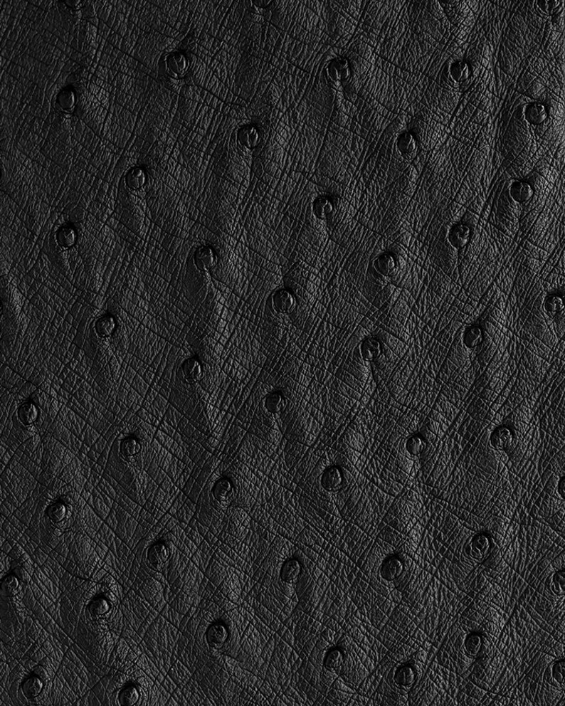 Black Ostrich Skin Set Iphone 13 Pro Max Apple Watch 7 Apple - Etsy