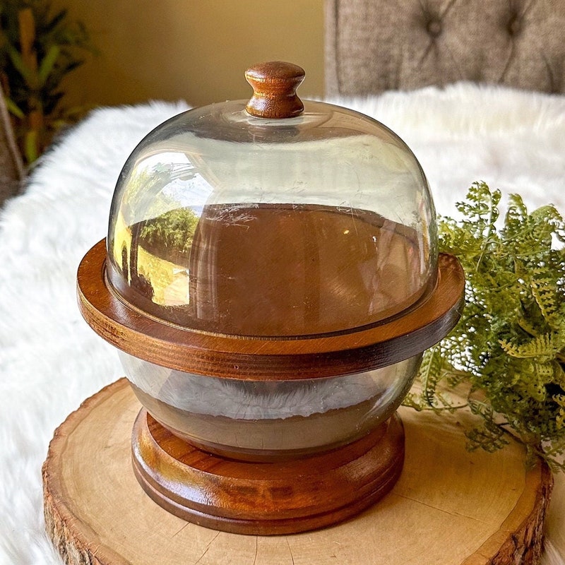Cheese Cloche - Etsy