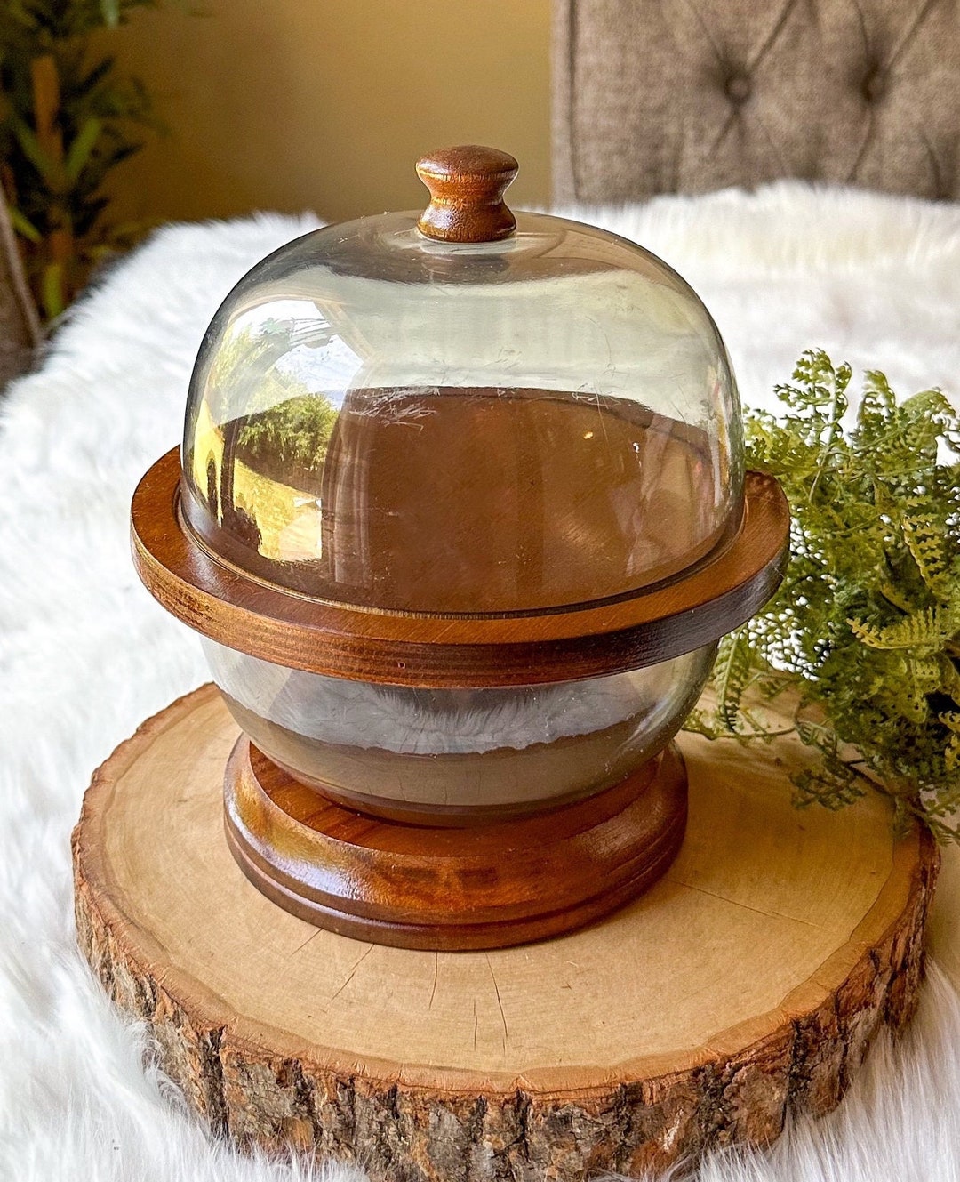 Retro Cheese Board Cracker Cloche Wood Acrylic Dome Bowl Sphere ...
