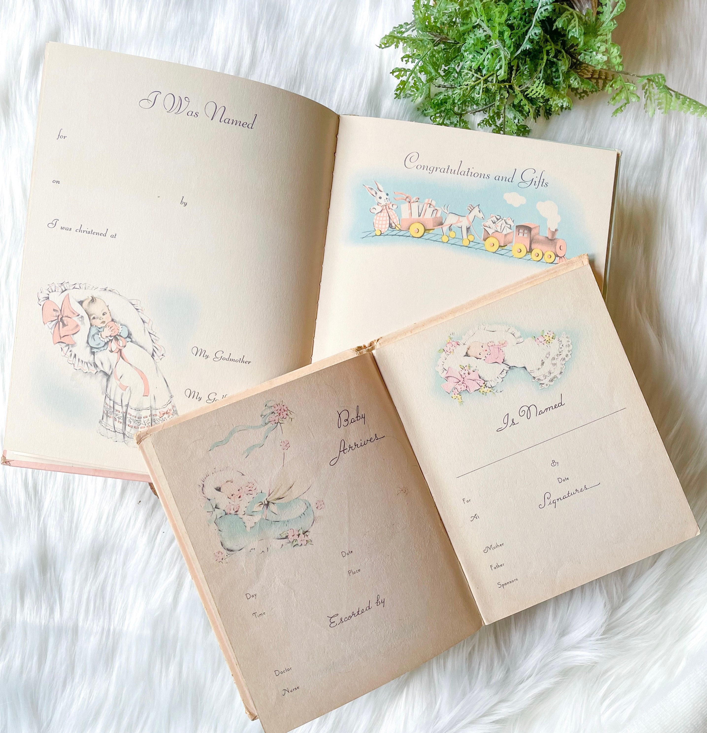 Lot of 2 Story of Our Baby Baby's Own Story the - Etsy