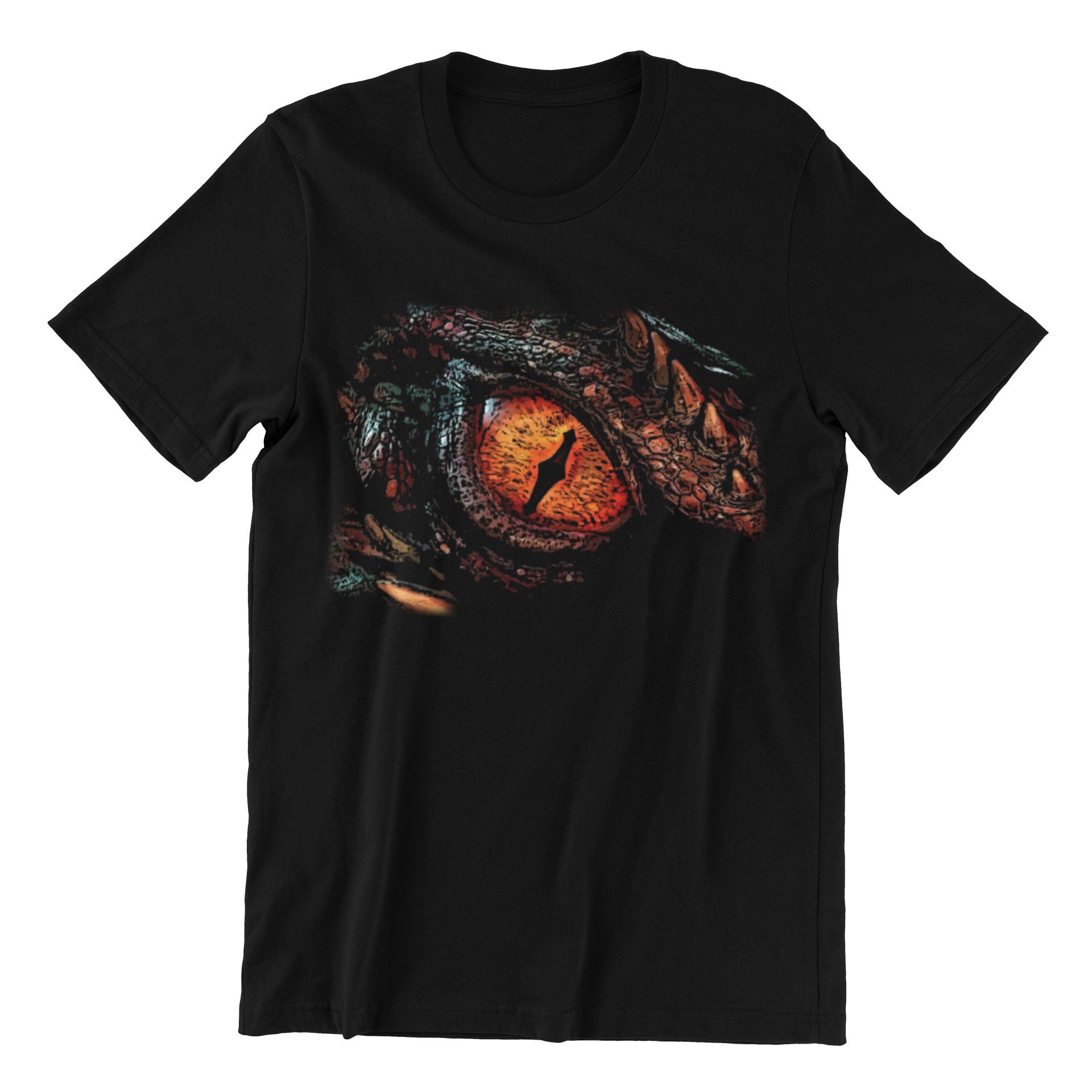 Dragon Shirt, Dungeons and Dragons Tee, Gifts for Men and Women TH817 ...