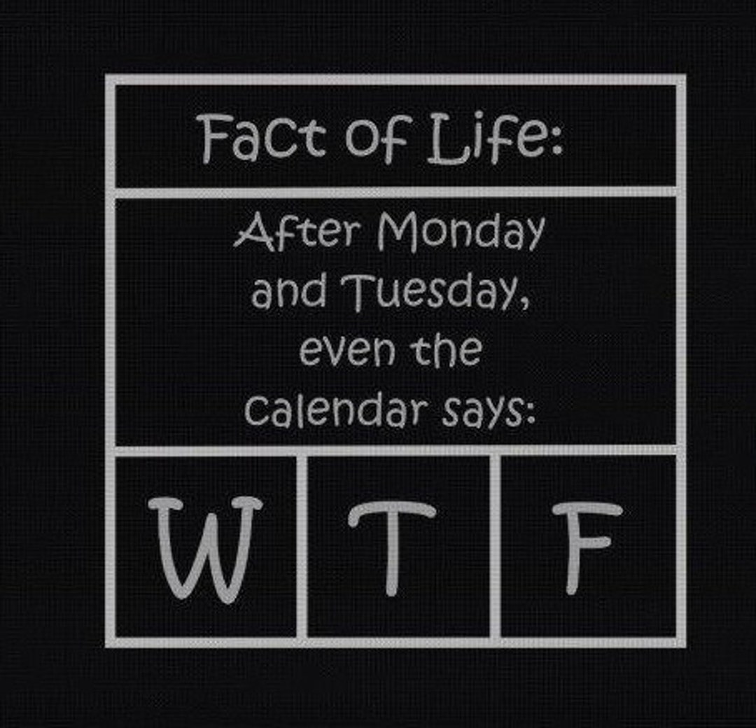 Days of the Week Funny WTF T Shirt Monday Tee Friday Shirt Weekend T ...