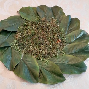 Apple Cone Apple Topiary Apple Centerpiece Tabletop Tree - Etsy