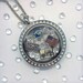 Vet Tech Locket-creatively Crafted Floating Lockets-the Copper Closet ...