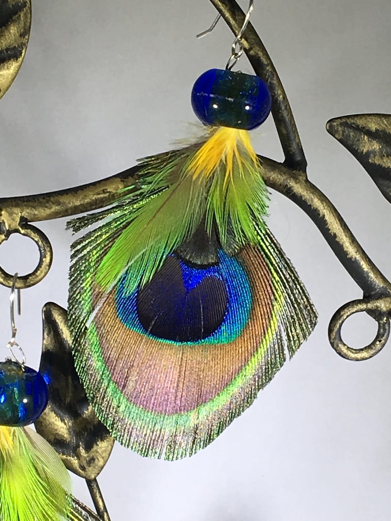 Parrot Feather Earring Peacock Eye Feather Earring Real - Etsy