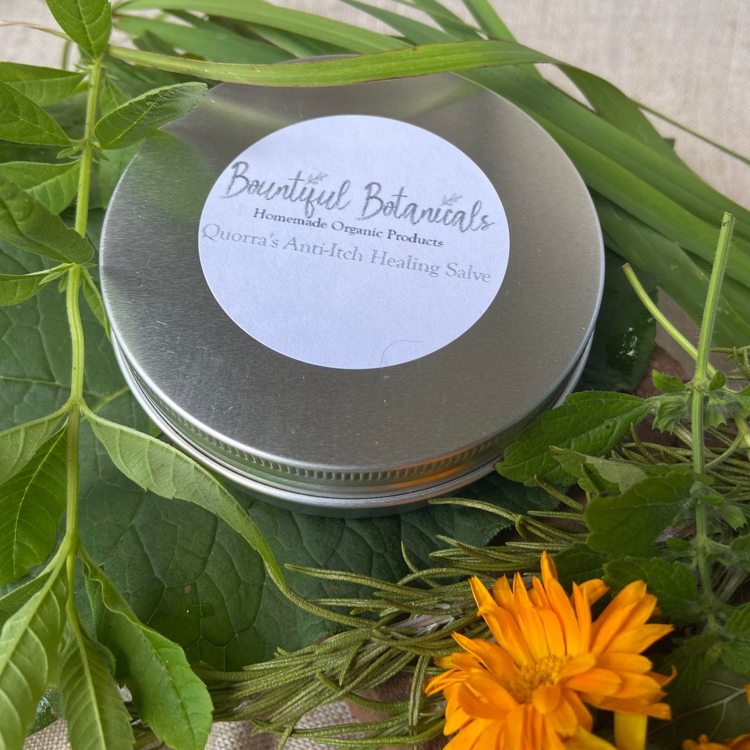 Quorra's Anti-itch Healing Salve Success - Etsy
