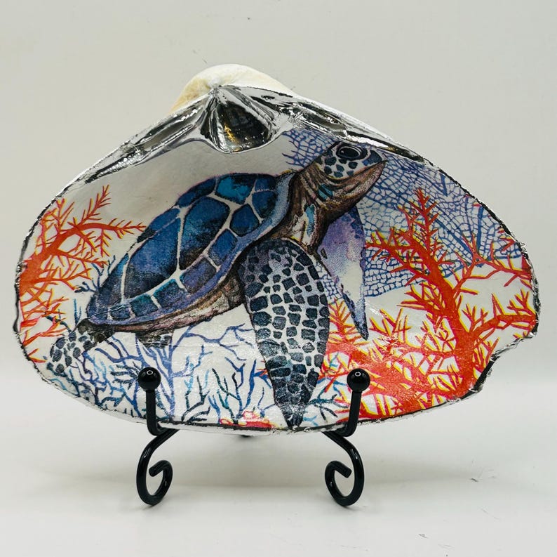 Sea Turtle Clam Dish - Etsy