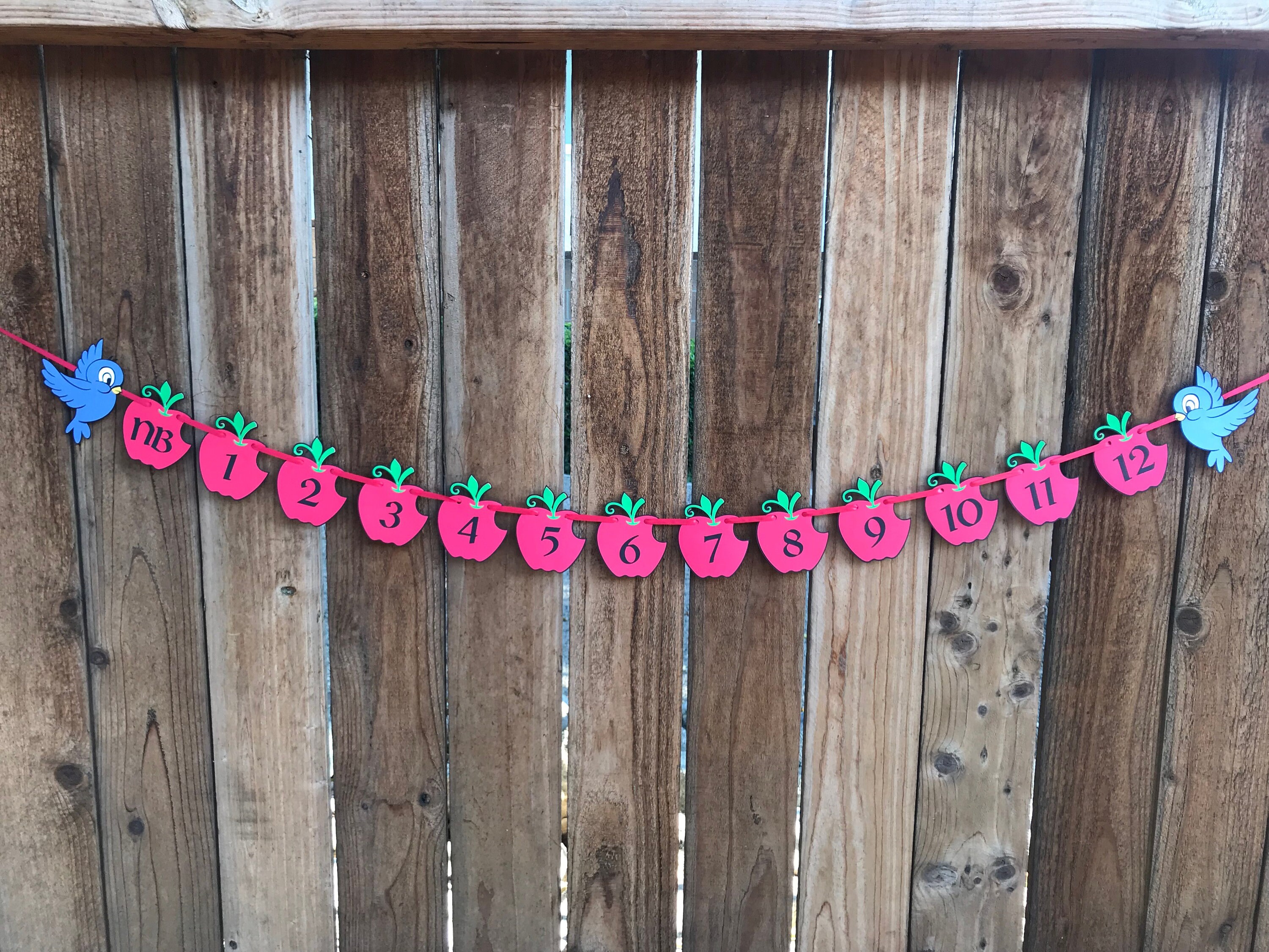 Snow White Themed Milestone Banner - Etsy