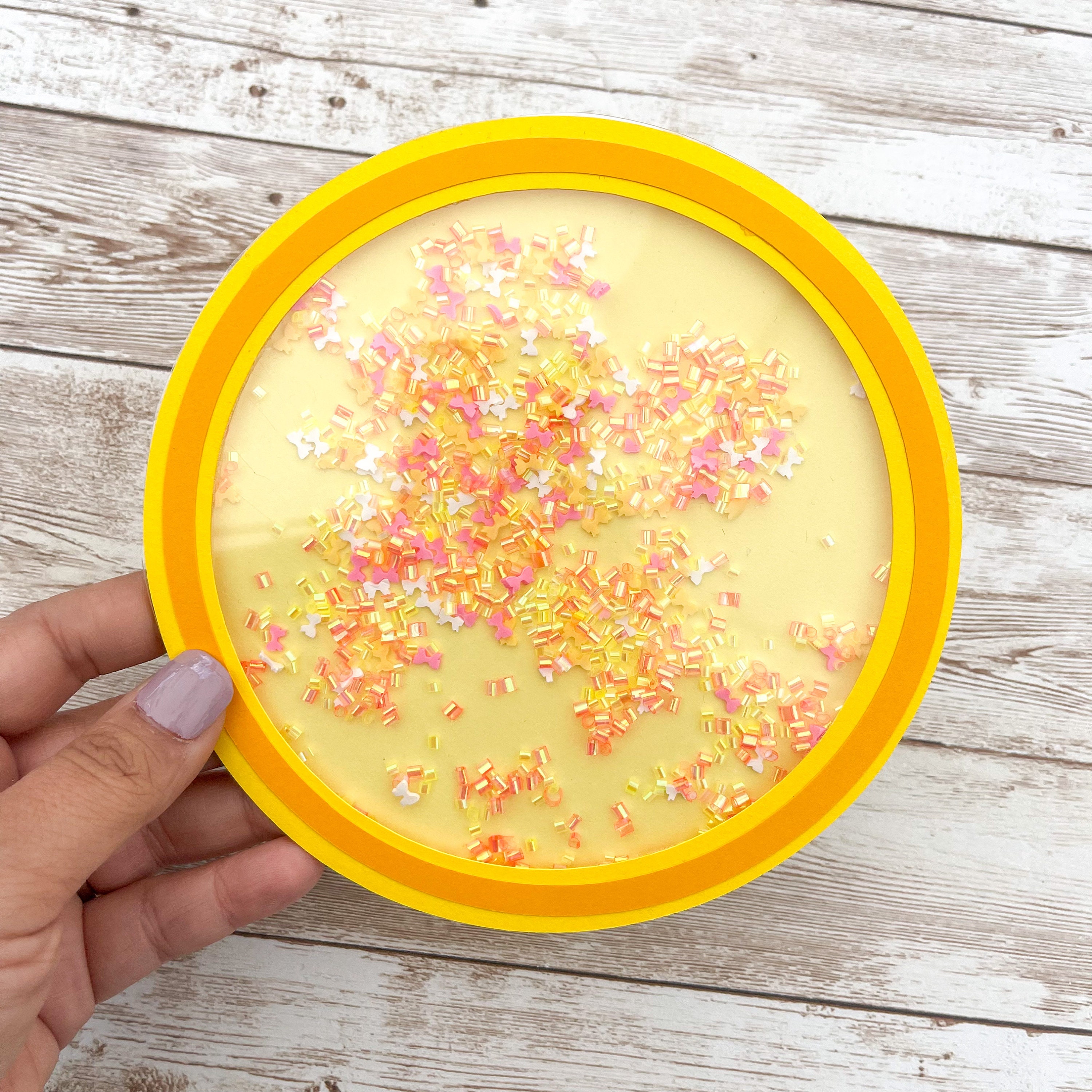 Circle Shaker Digital SVG Template Cake Topper - Etsy