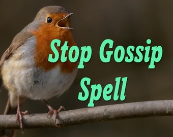 DIY Shut up Stop Gossip Spell Instructions From My Grimoire - Etsy