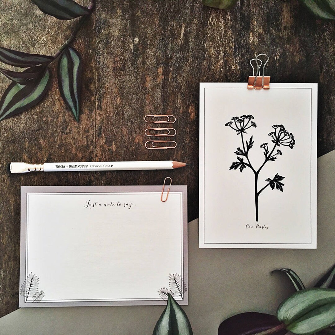 Notelet Botanical Wildflower Cow Parsley Botanical Notelet Stationery ...