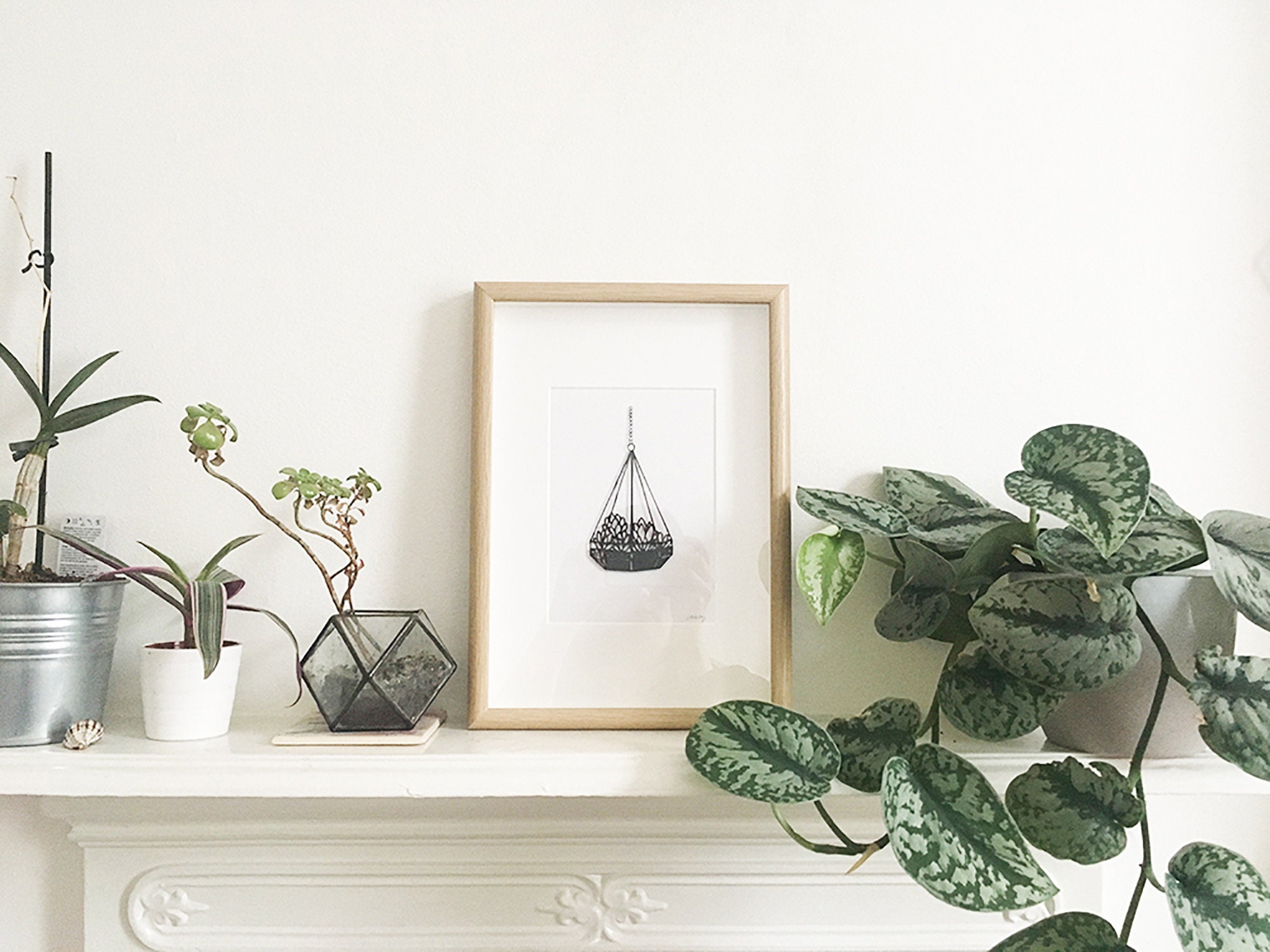 Handmade Papercut Terrarium Papercut Succulents Paper - Etsy