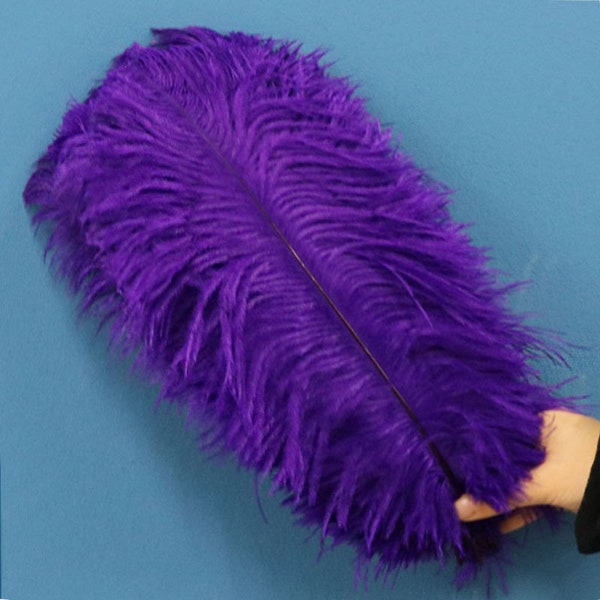Purple Ostrich Feathers - Etsy