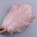 100 PCS Red Bean Paste Ostrich Feather Wedding Party Prom Charity Party ...