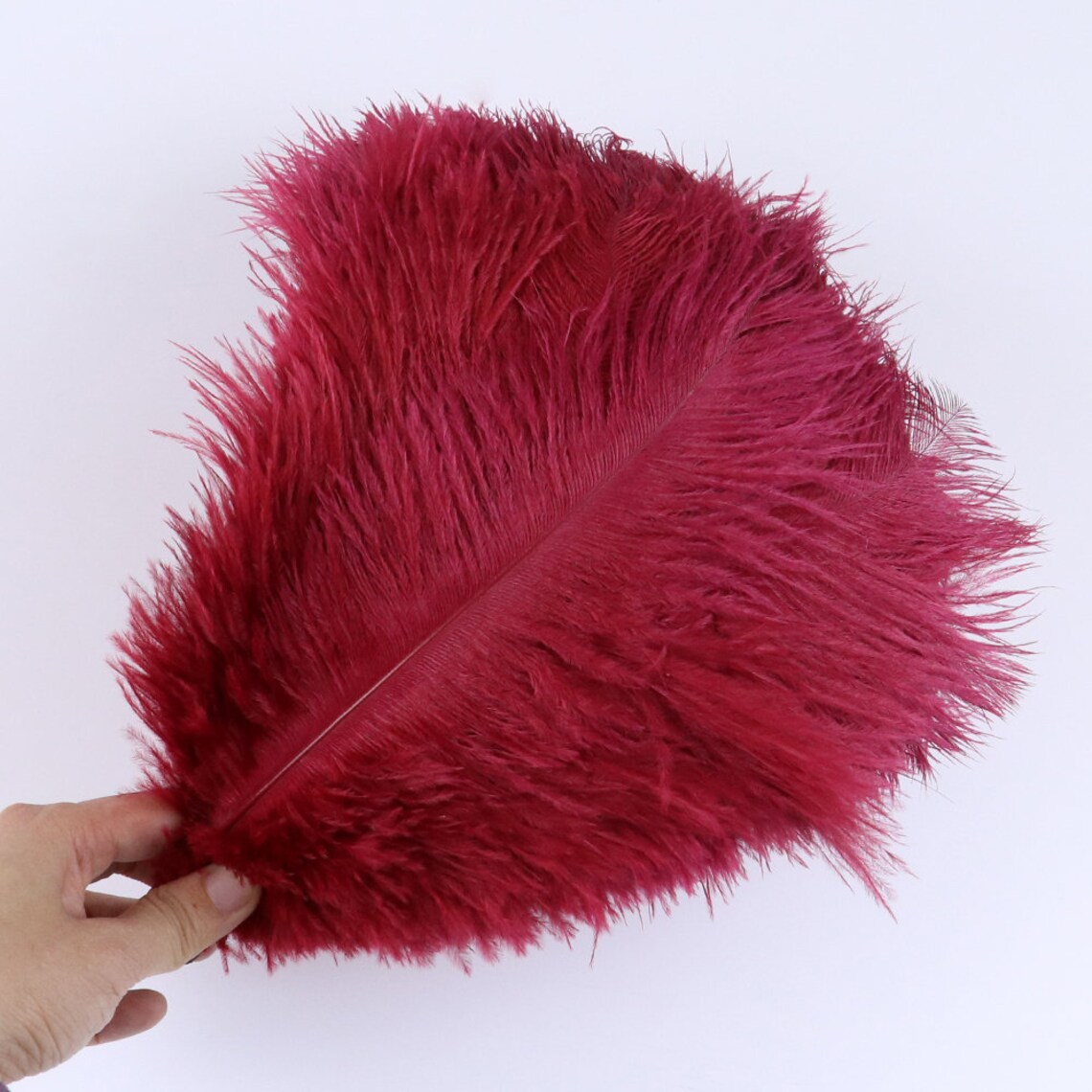 100 PCS Wine red Ostrich Feather Wedding Party Prom Charity | Etsy