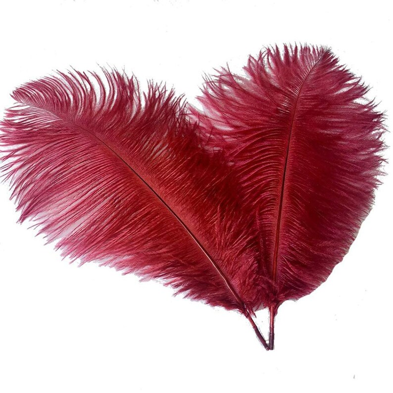 100 PCS Wine Red Ostrich Feather Wedding Party Prom Charity Party Event ...