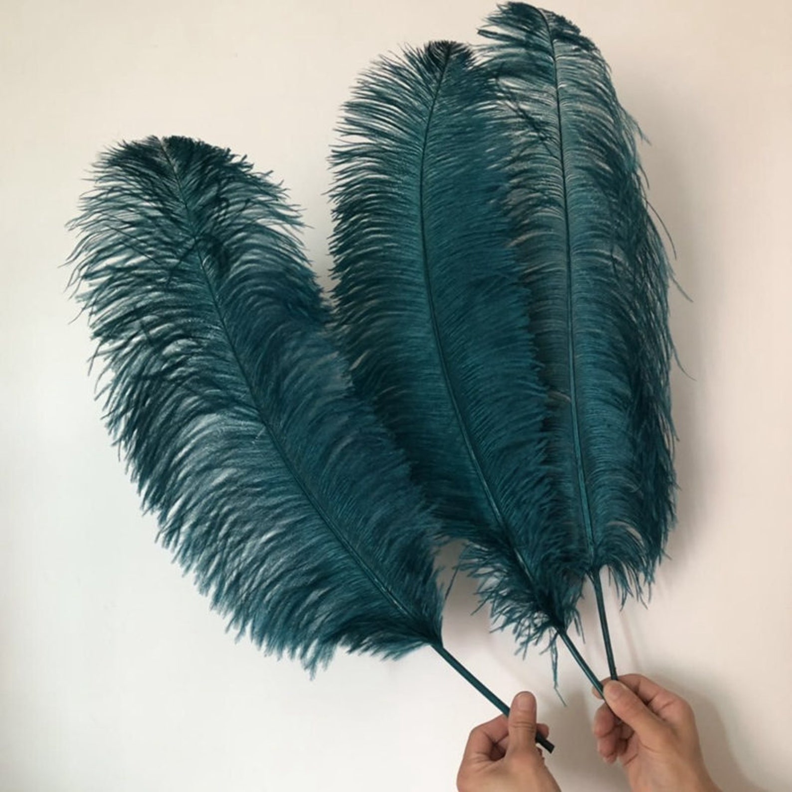 50 PCS Blue-green Ostrich Feather Wedding Party Prom Charity - Etsy