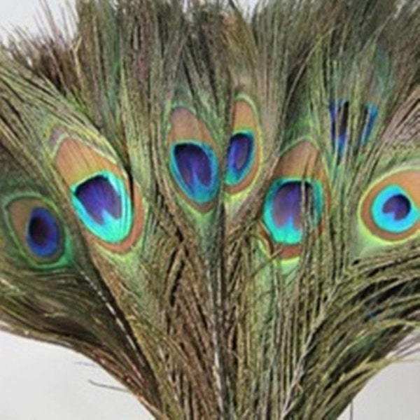 Peacock Feather Fan - Etsy