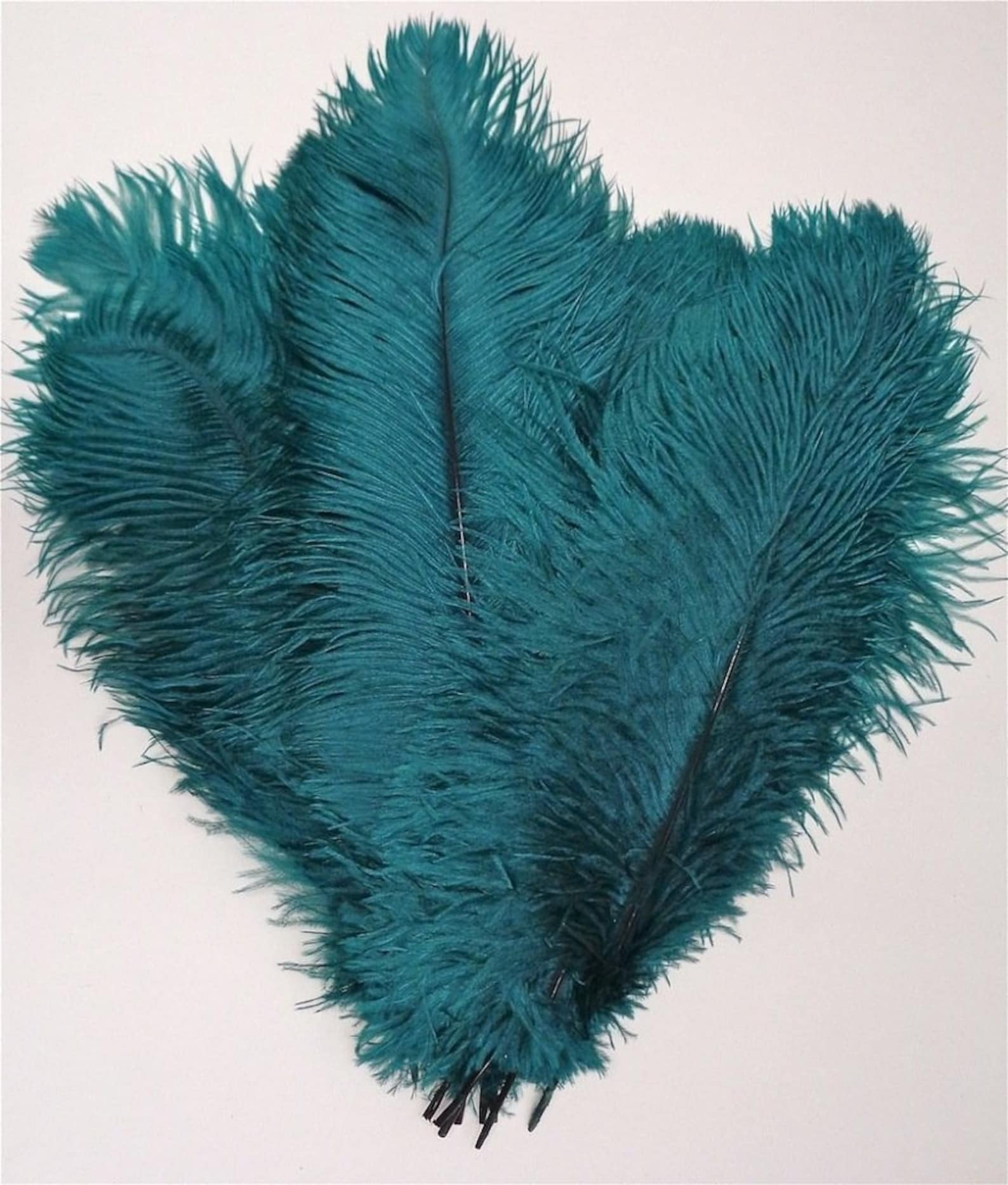 50 PCS Blue-green Ostrich Feather Wedding Party Prom Charity - Etsy